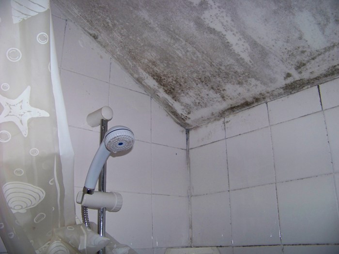 Thousands of social homes treated for hazardous damp and mould